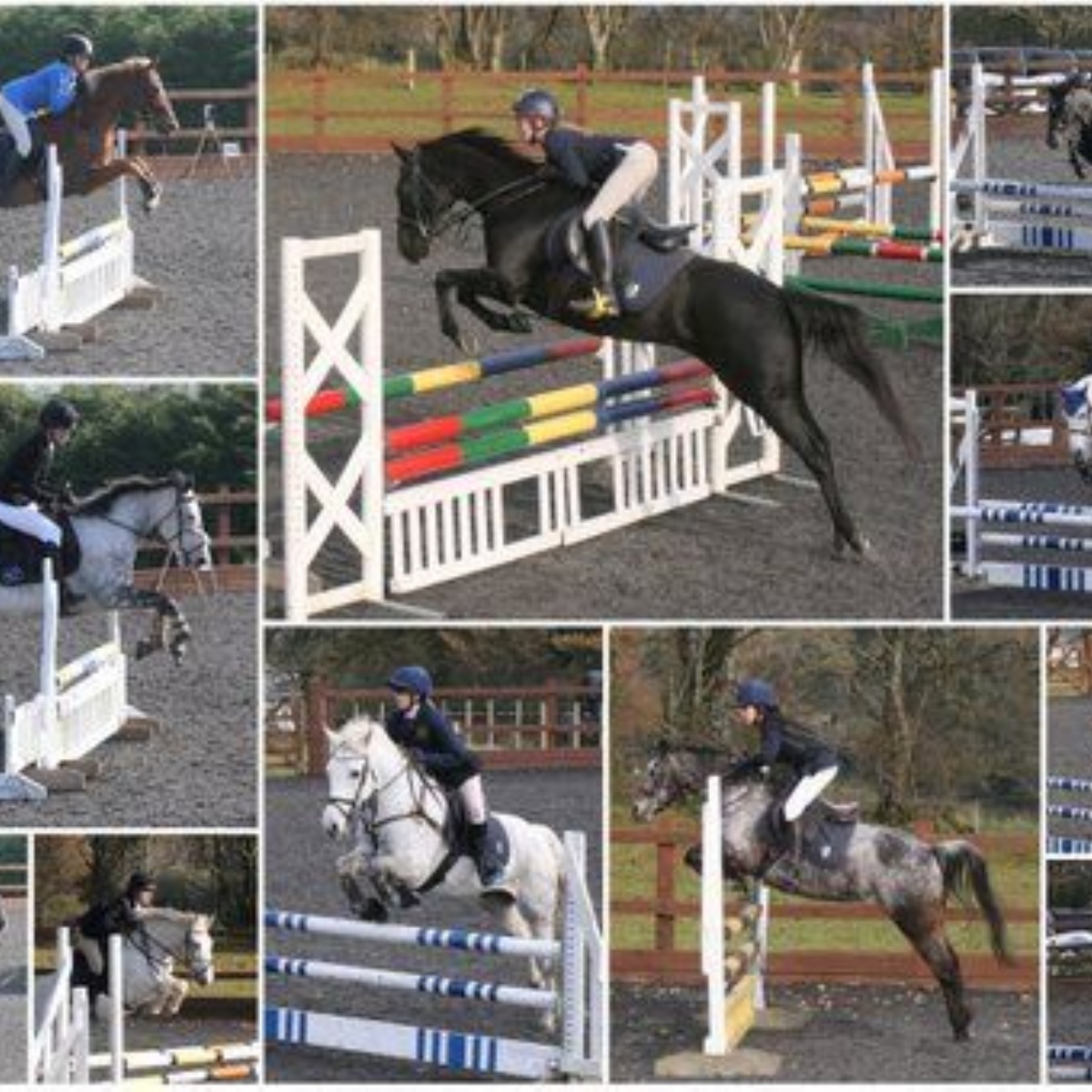 Callington Community College - 7 Show Jumping teams qualify for Nationals