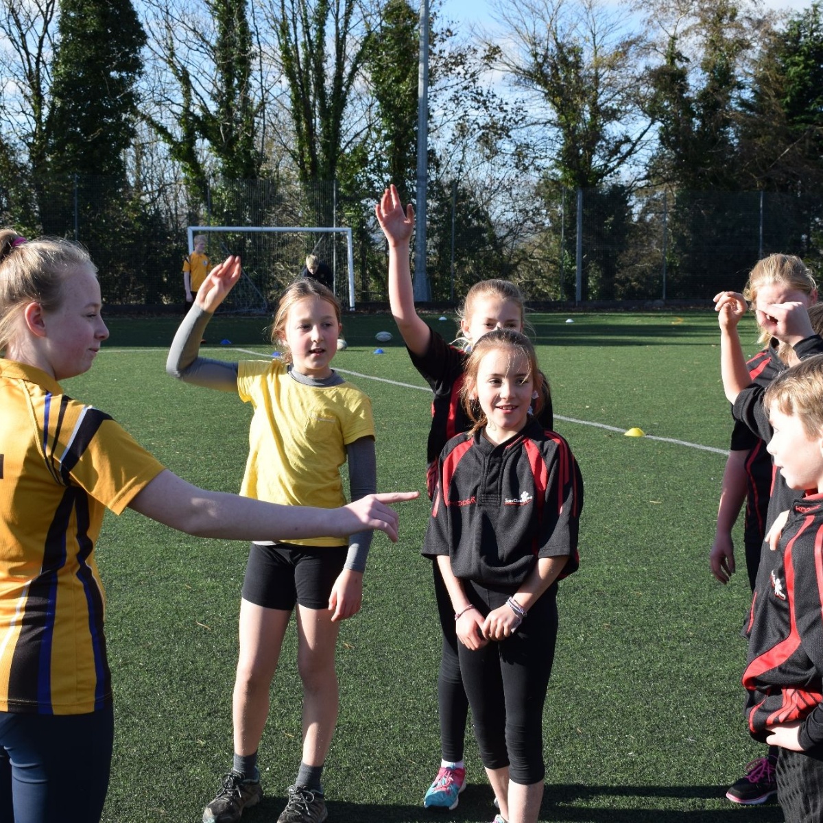 Callington Community College - Primary Tag Rugby Festival